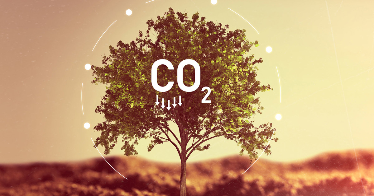 Nyt samarbejde om fangst og lagring af CO2 i Østdanmark | DanskFjernvarme